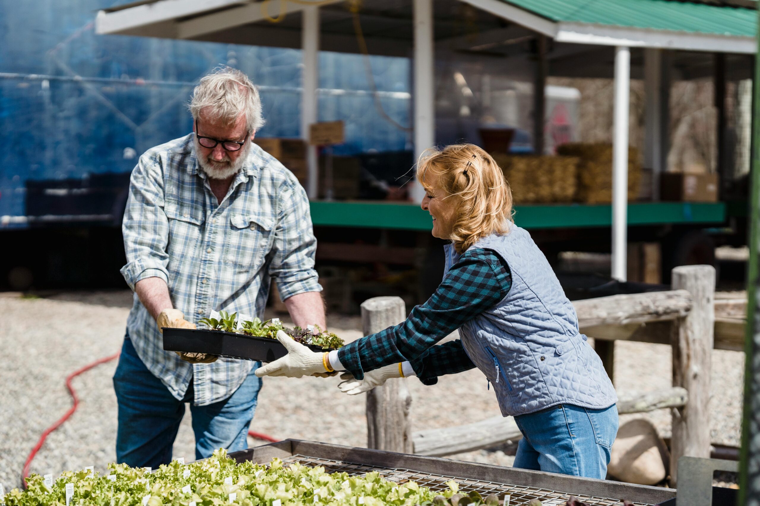 Business Owners and Sudden Death: What to Do if the Sole Owner Dies ...
